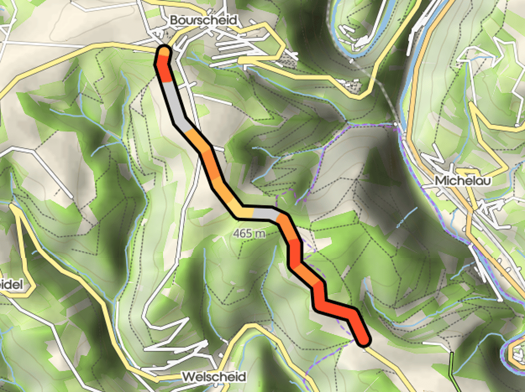Bourscheid from Burden via Hougeriicht - Profile of the ascent